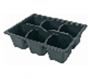 Cell Packs | Berrycroft Horticulture